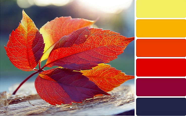 Renovate Your Home with Fall Inspired Colours
